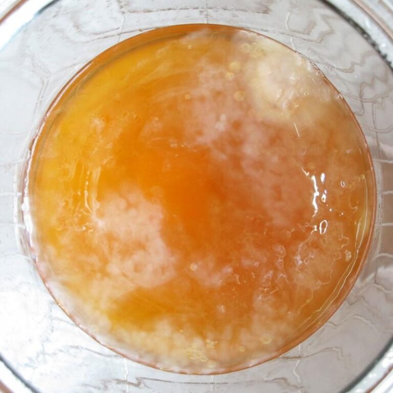 How to Grow a Kombucha Scoby — in just 10-12 Days - Brod & Taylor UK